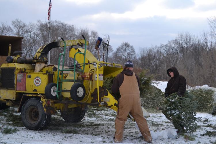 Keep Northern Illinois Beautiful offers tree recycling mulch | Illinois ...