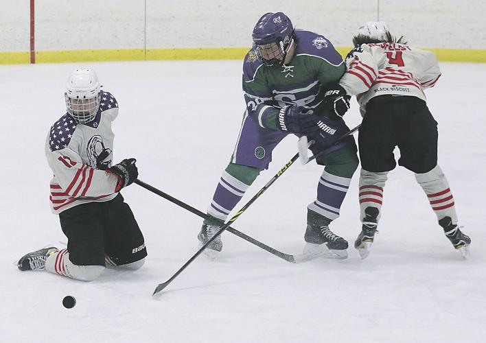 Bluebirds slip past Purple Knights | Sports | beloitdailynews.com