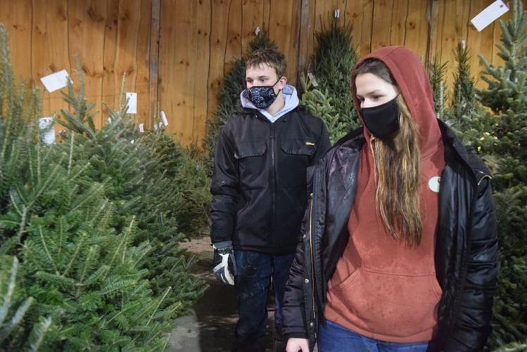 Holiday spirit is in full swing at Williams Tree Farm during busy ...