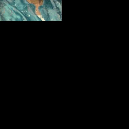 Patricia Fitzgerald | Obituaries | beloitdailynews.com