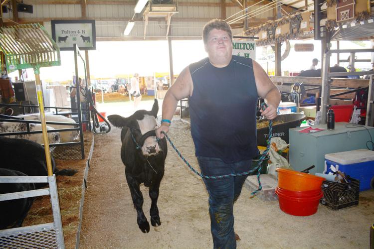 Young 4-Hers work hard with champion animals | Local News ...