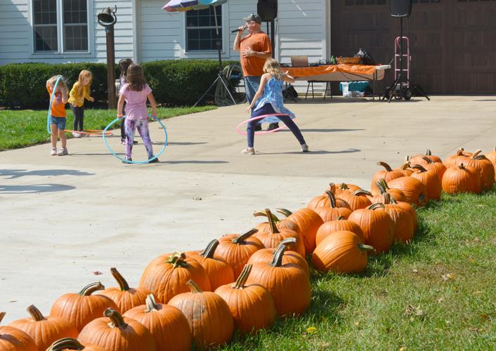 People rummage through pile of pumpkins as Halloween approaches | Local ...