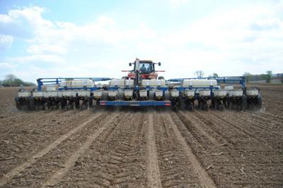 Despite recent rain, crops struggling in Wisconsin | Local News ...