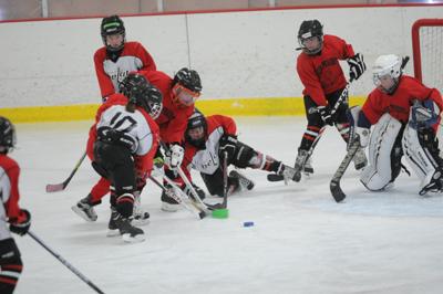Council approves youth hockey lease, Telfer Park redevelopment eyed ...