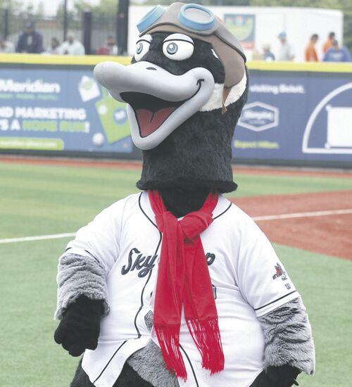 Beloit Sky Carp to host Poopsie's Arctic Plunge | Sports ...