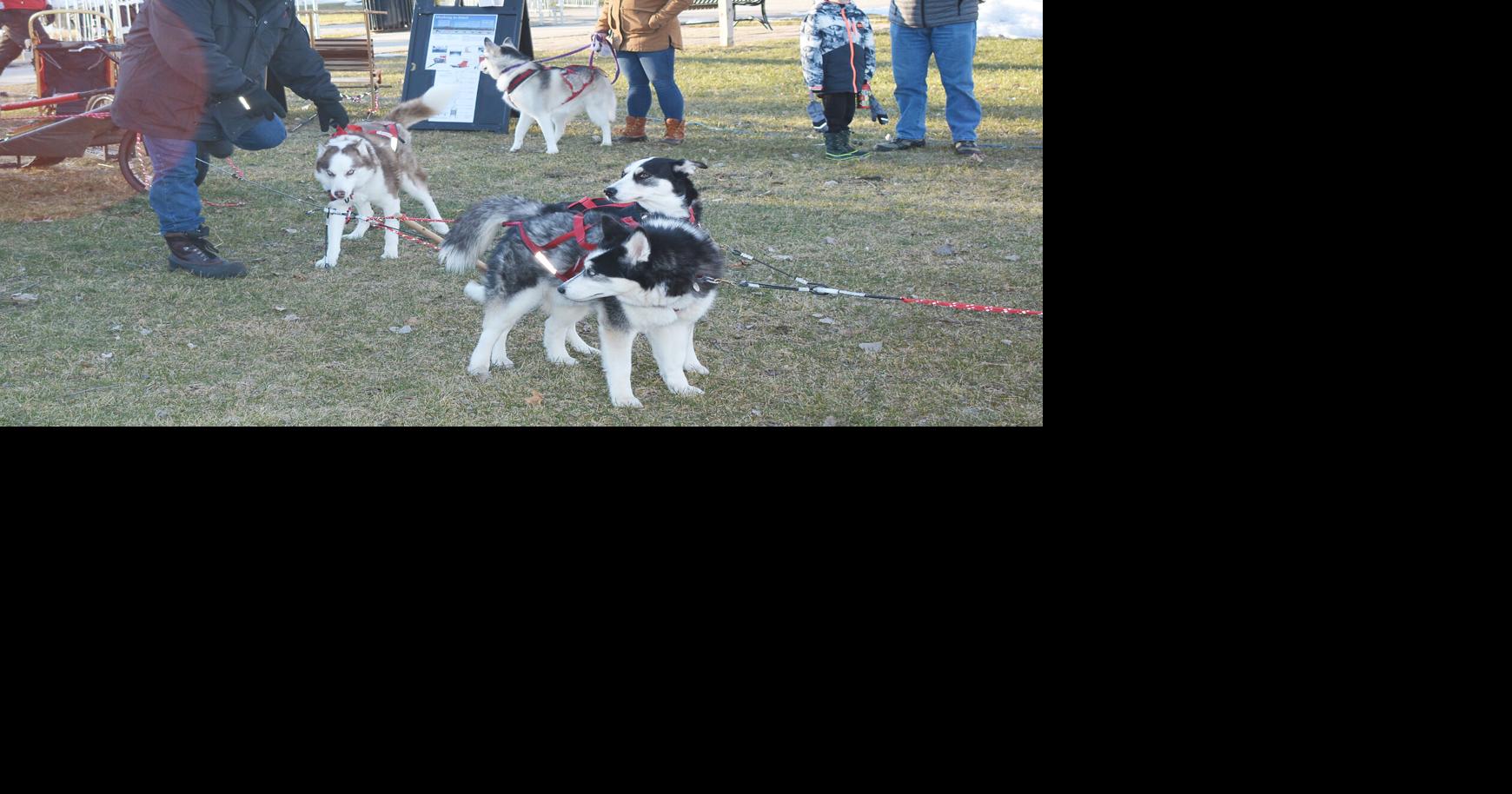 Crowds turn out for Rockton's Yeti Fest | Local News | beloitdailynews.com