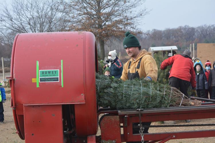 Williams Tree Farm marks 75 years | Illinois News | beloitdailynews.com