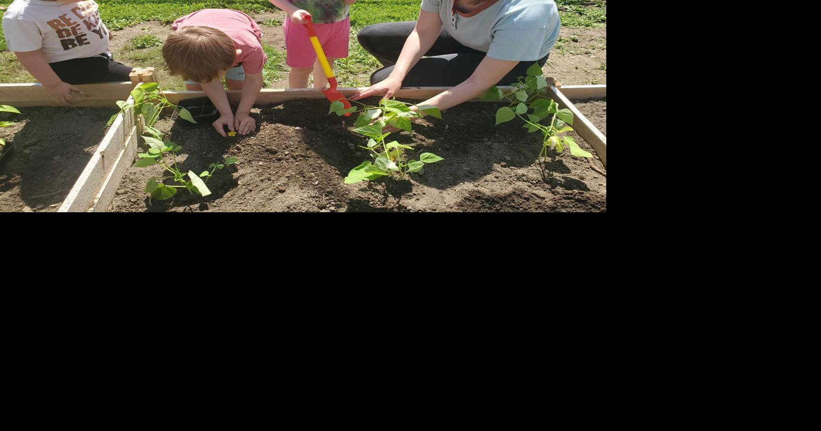 New Farm to School service provider grant now open | Business | benningtonbanner.com