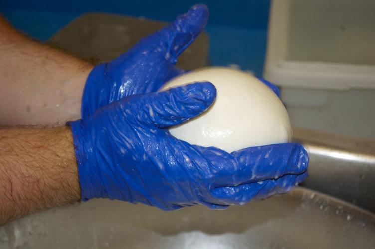 Cheesmaking through generations with a sense of pride | Business ...