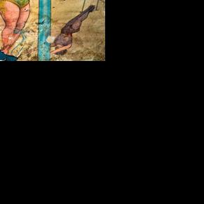 Vintage circus exhibit coming to Bennington Museum | Entertainment ...