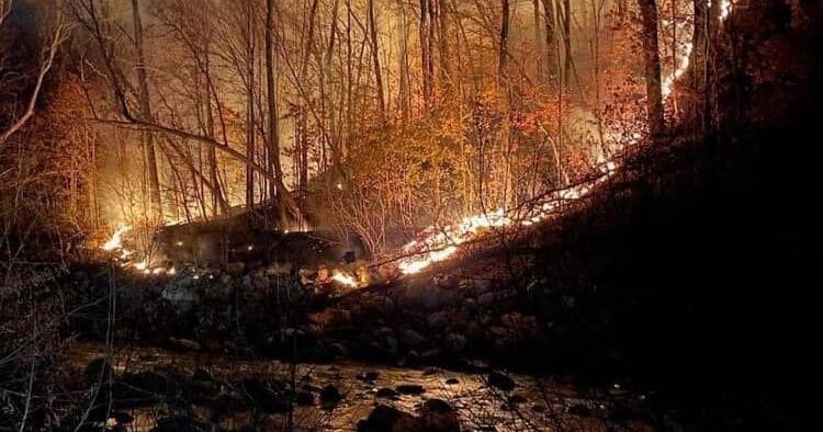 Fire crews battled brush fire on North Branch Street | Local News ...