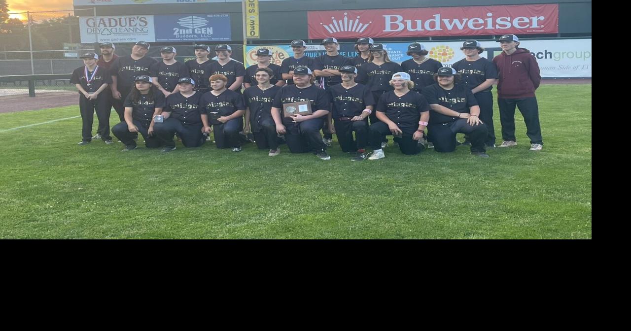 Arlington baseball's Cinderella run ends with title game defeat to Blue ...