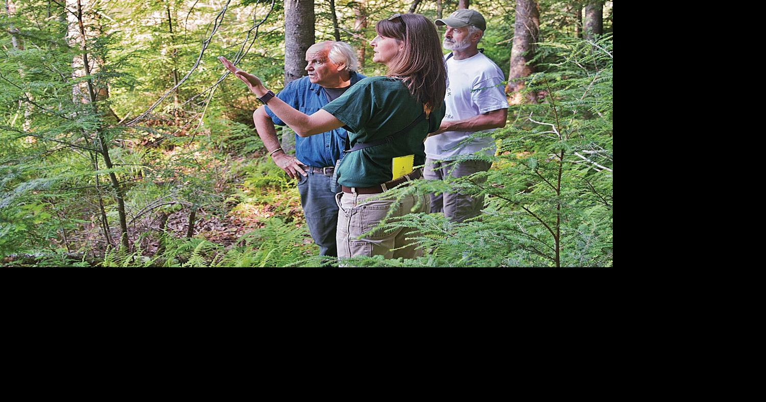 State biologist and foresters to present on habitat and forestry ...