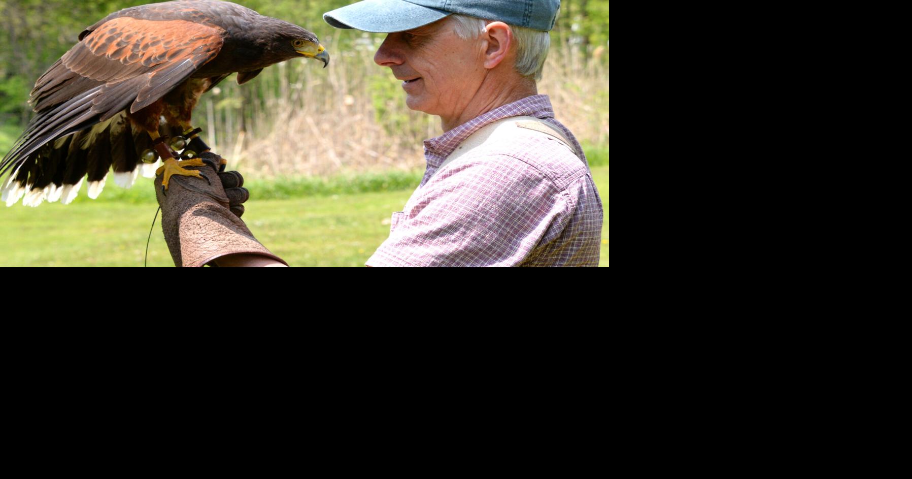 Local as Tourist: 'Birds of the fist' ... Green Mountain Falconry ...
