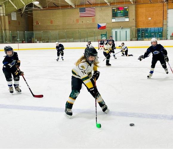 Northshire Bulldogs eyeing state championship | Sports ...