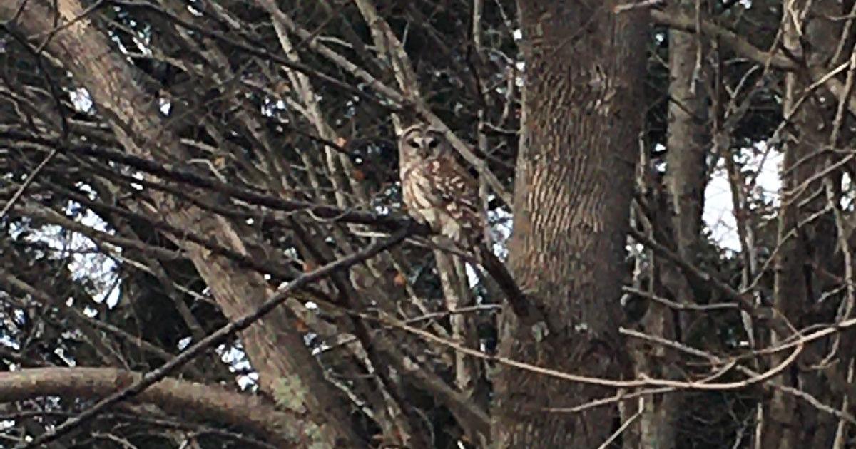 Speaking of Religion: Marsh Hudson-Knapp: O Taste… And See… How Good ...