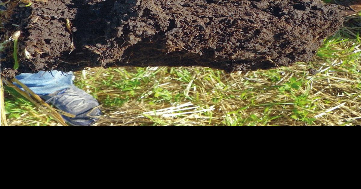 Marsh Hudson-Knapp | Speaking of Religion: Can we re-birth Earth in ...