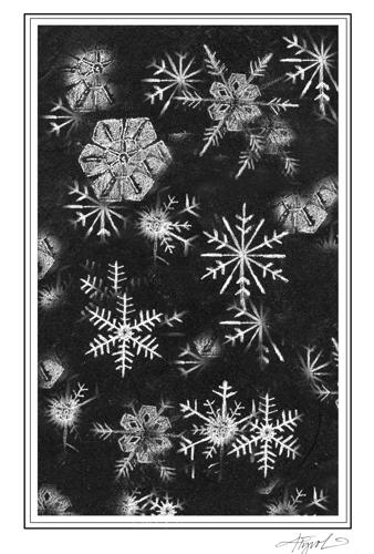 How to Preserve a Snowflake | Outdoors | benningtonbanner.com