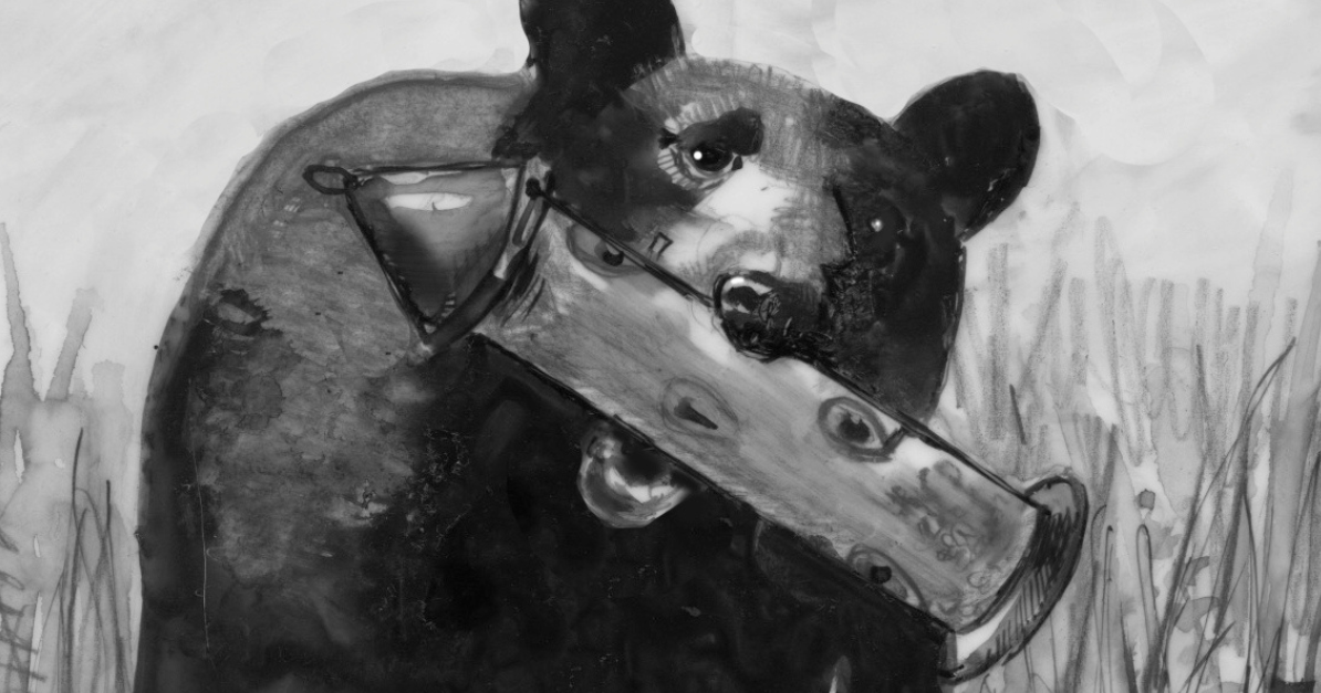 Outdoors | Burgeoning black bear populations | Opinion ...