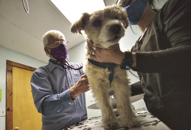 'It's not just medicine': Dummerston veterinarian retires | Local News ...