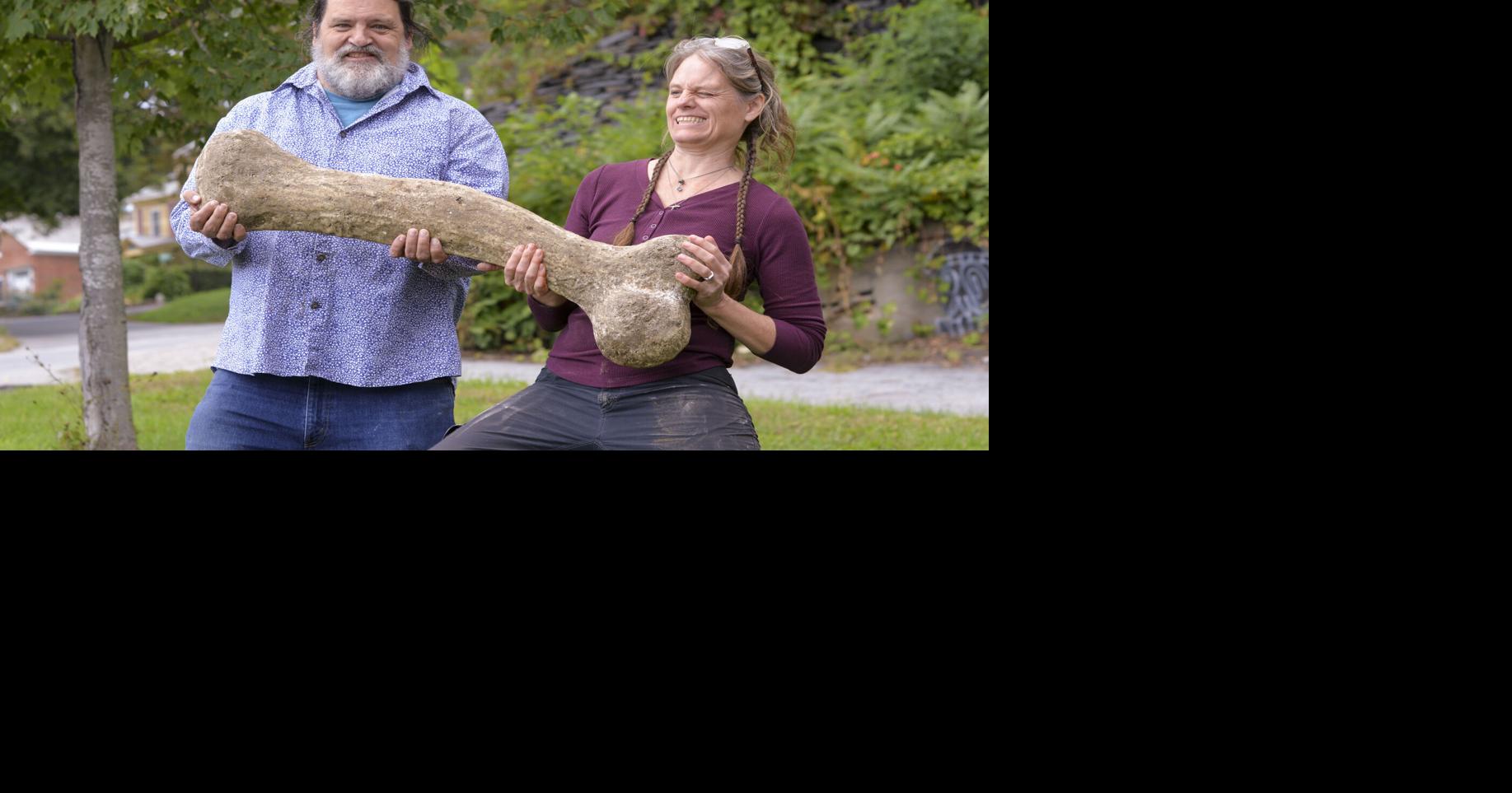 Dino bones to be dug up during Gallery Walk | Entertainment ...