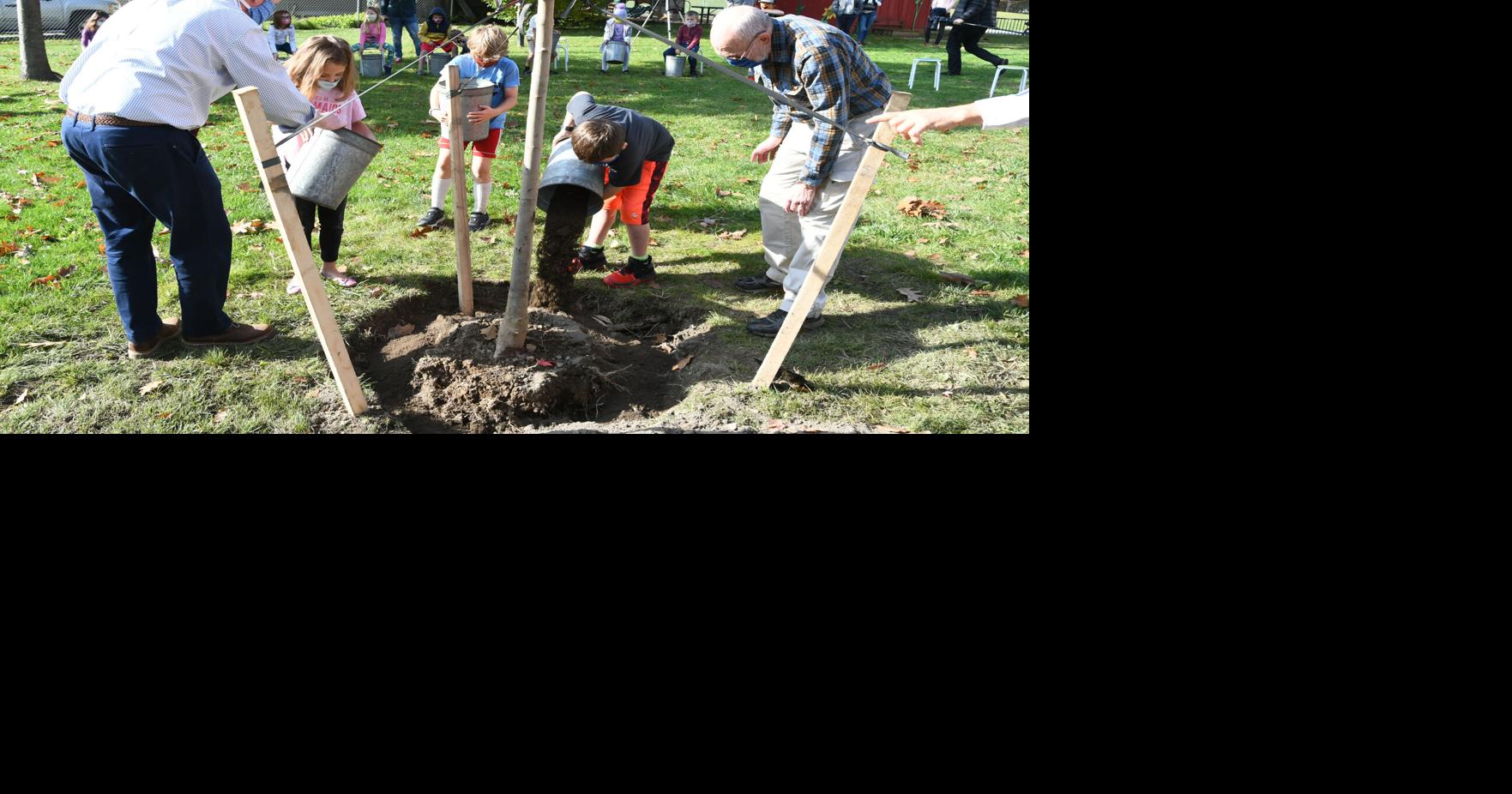 Tree Planting at the Village School | Local News | benningtonbanner.com