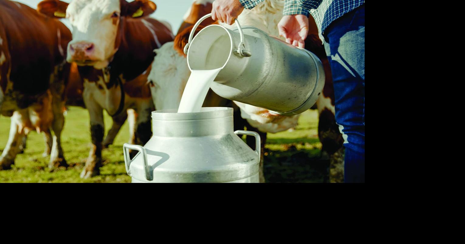 New $1.75M grant to boost organic dairy sales in schools, youth programs | News ...