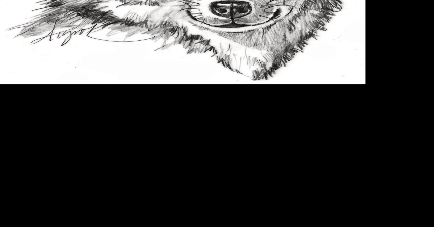 The Outside Story: Northeastern wolves: Then and now | Opinion ...