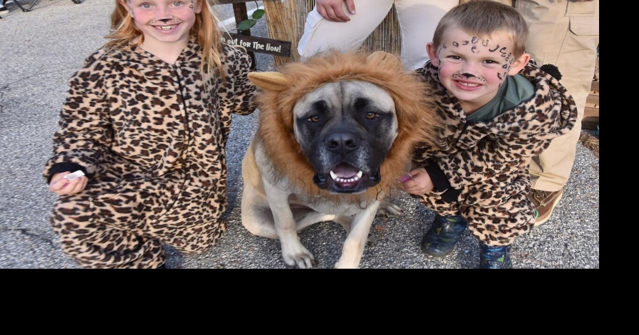 Photos: Scaring up some Halloween fun | Lifestyle | benningtonbanner.com