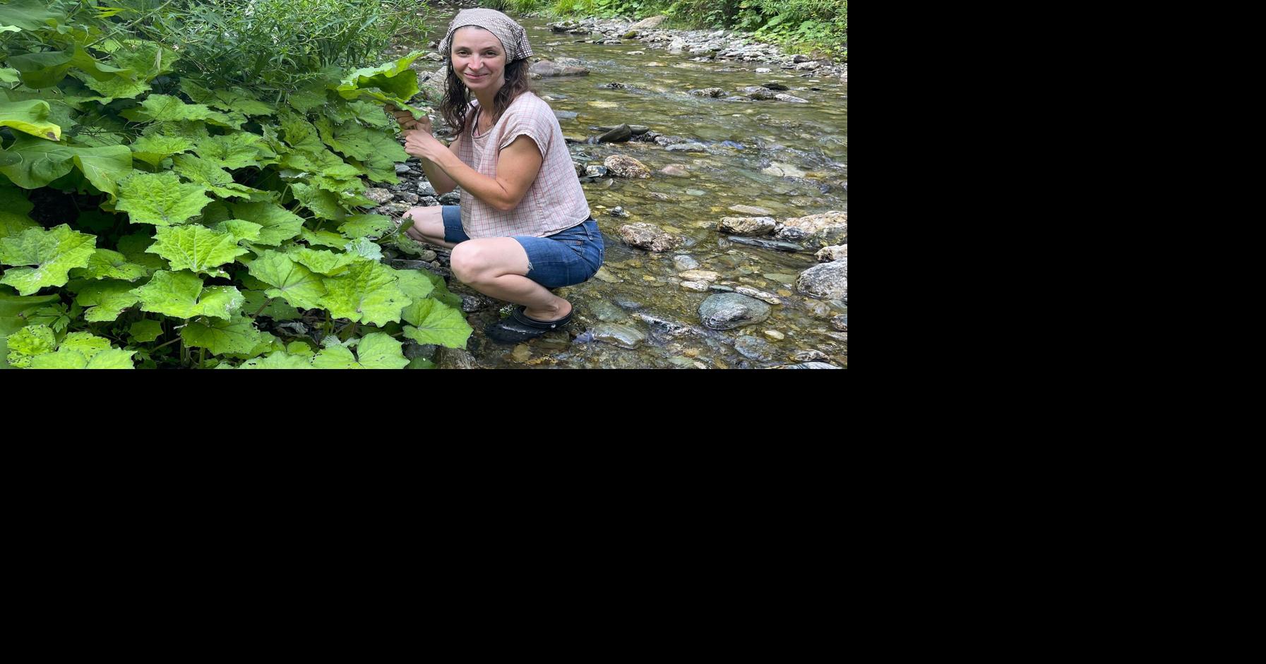 'A desire to find the wild' Homesteading family cultivates herbal ...