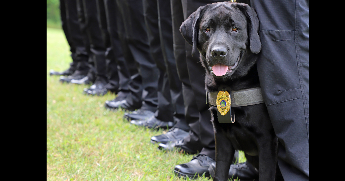 Police promote officers at Willow Park ceremony | Local News ...