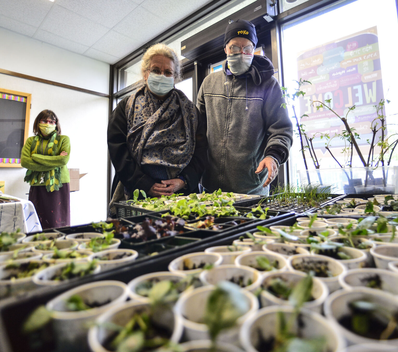 Edible Brattleboro workshop series teaches 'lessons from nature ...