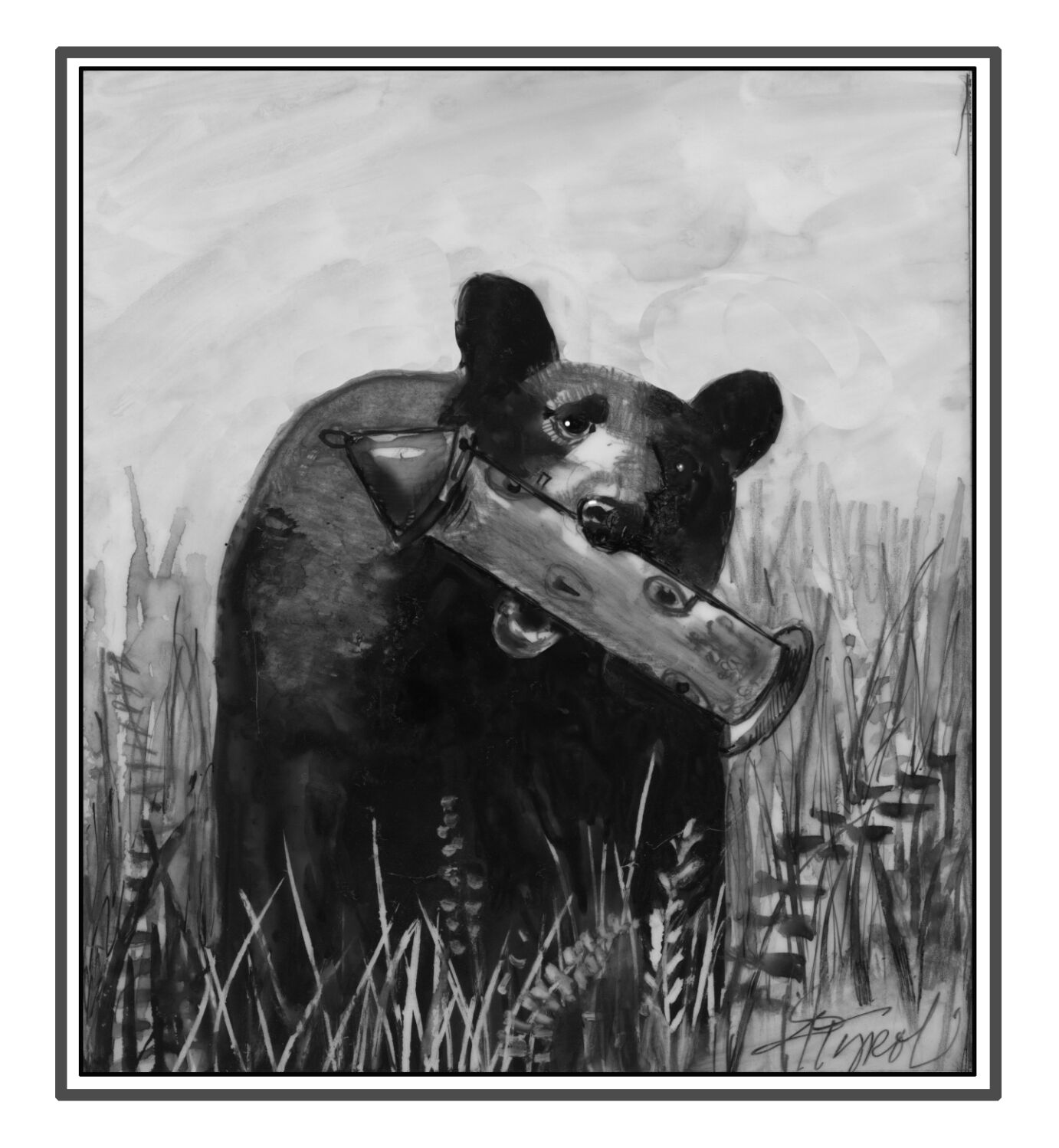 Outdoors | Burgeoning black bear populations | Opinion ...