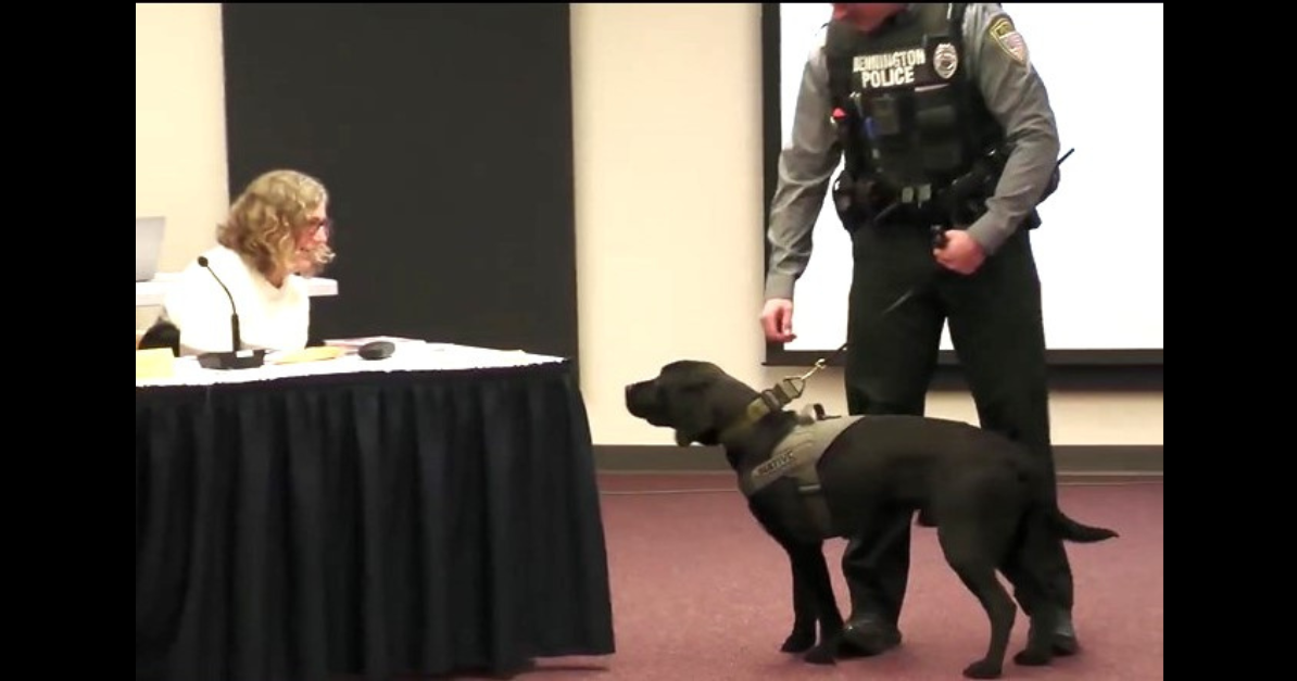 Bennington Police chief looks to create canine training yard | Local ...