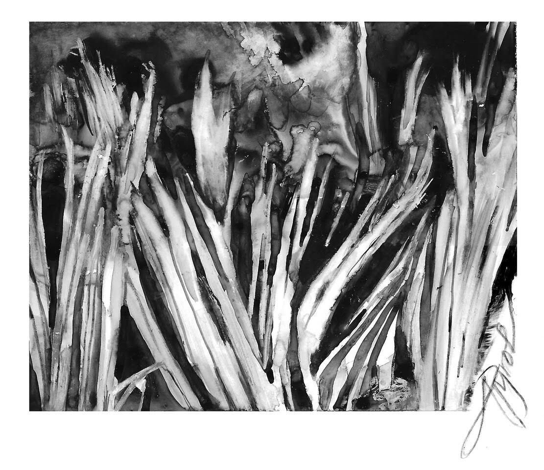 The Outside Story | The fractured magic of needle ice | Opinion ...