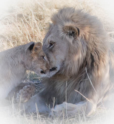 Monument Arts & Cultural Center to unveil three new galleries at art ...