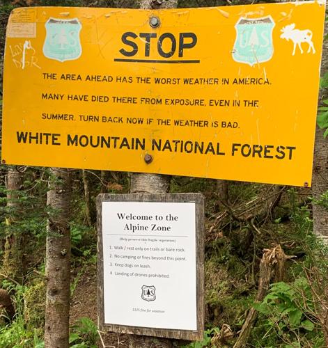 The Outside Story: Climbing into the Alpine Zone | Outdoors ...