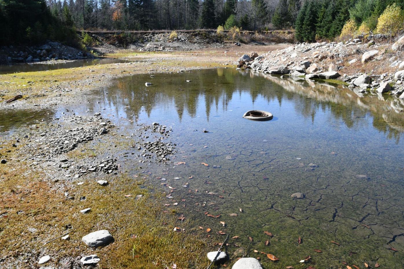 Remains found in Searsburg is county's first homicide case since 2017 ...