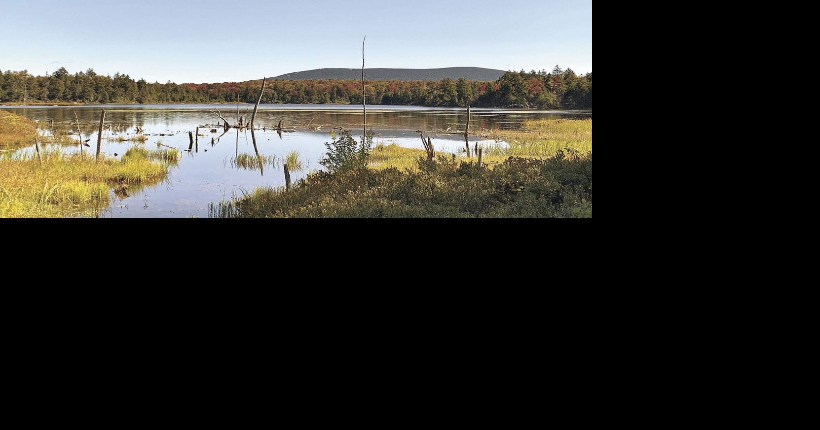 Bourn Pond selected as a 2022 Leave No Trace Hot Spot | Outdoors ...