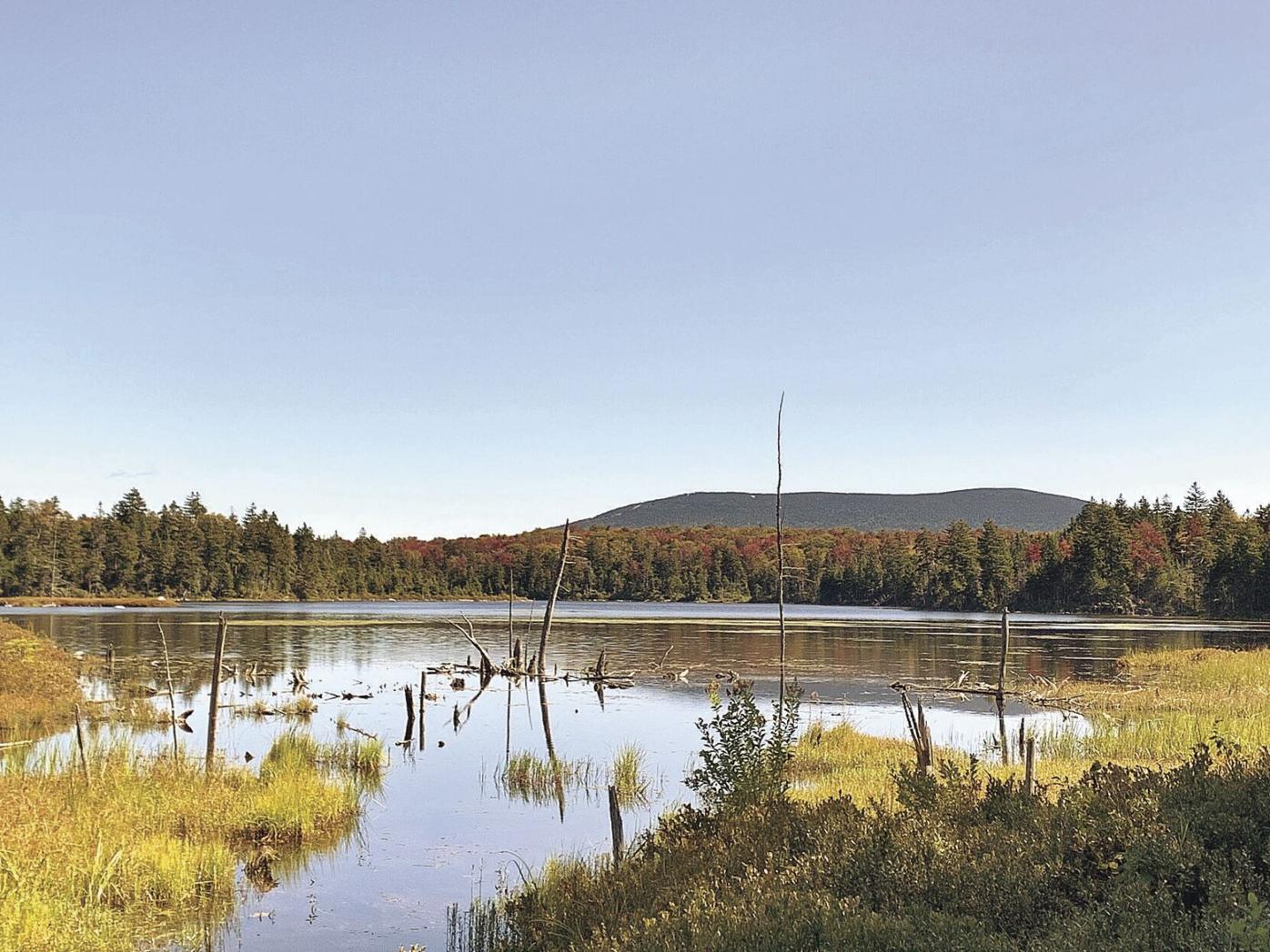 The long hike to Bourn Pond | Local News | benningtonbanner.com