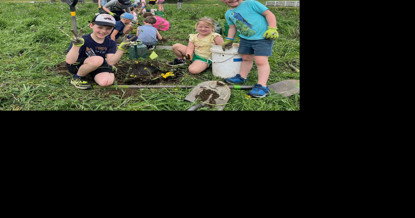 Smokey House receives farm to school grant to install new berry alley ...
