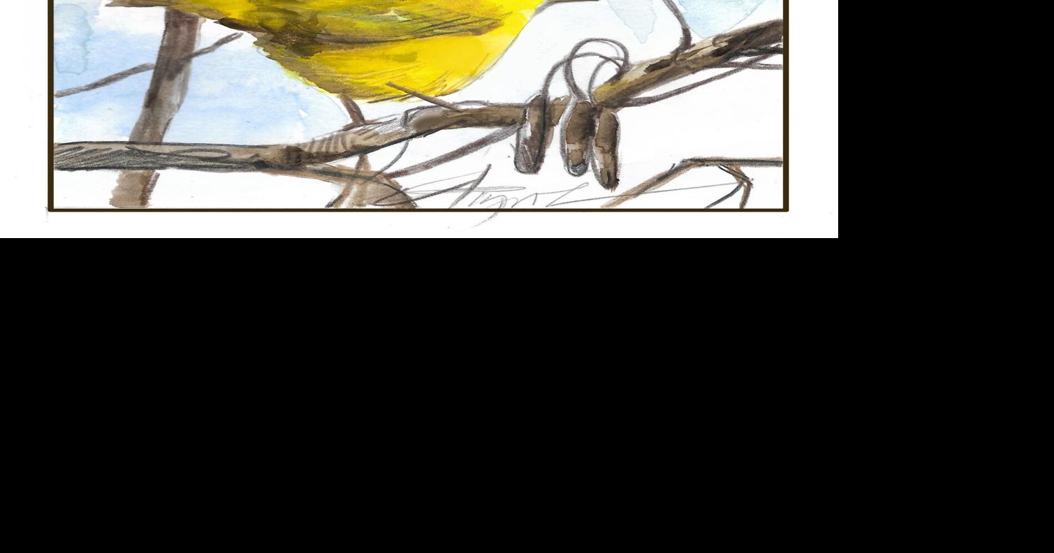 The Outside Story: Exploring shrub swamps | Outdoors | benningtonbanner.com