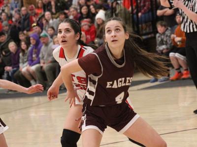 VBCA recognizes Arlington's Taylor Wilkins among state's best ...