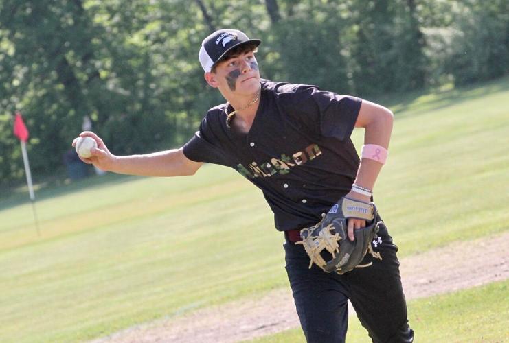 Arlington baseball's Cinderella run ends with title game defeat to Blue ...