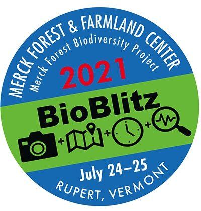 BioBlitz returning to Merck Forest this weekend | Local News ...