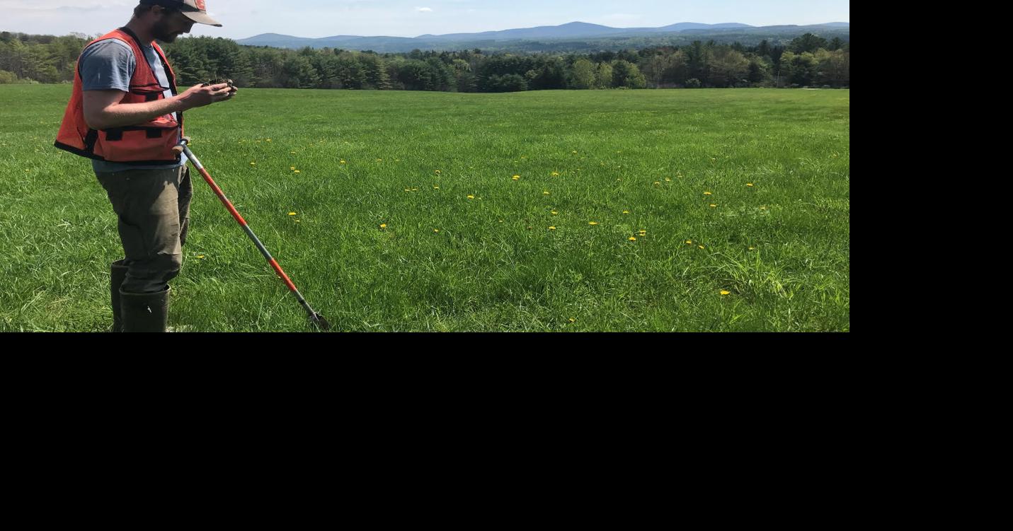 Wetlands and drought: How does Vermont find and protect wetlands during ...