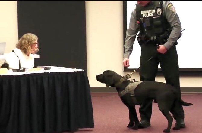 Bennington Police chief looks to create canine training yard | Local ...