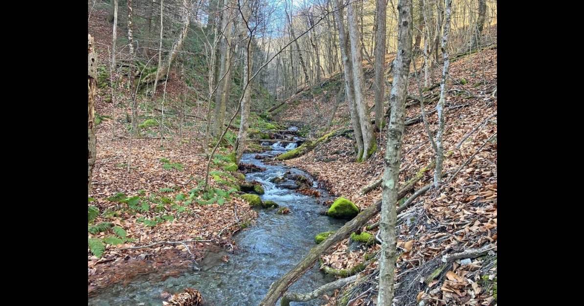 Pownal Conservation Commission to see revival, select board seeking ...