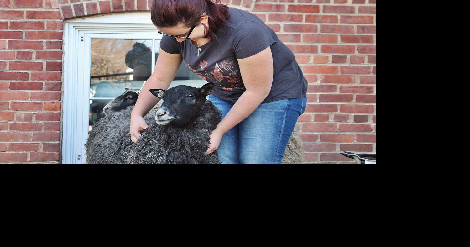 Food For Thought: Week-long 'science museum' concludes with a look at ...