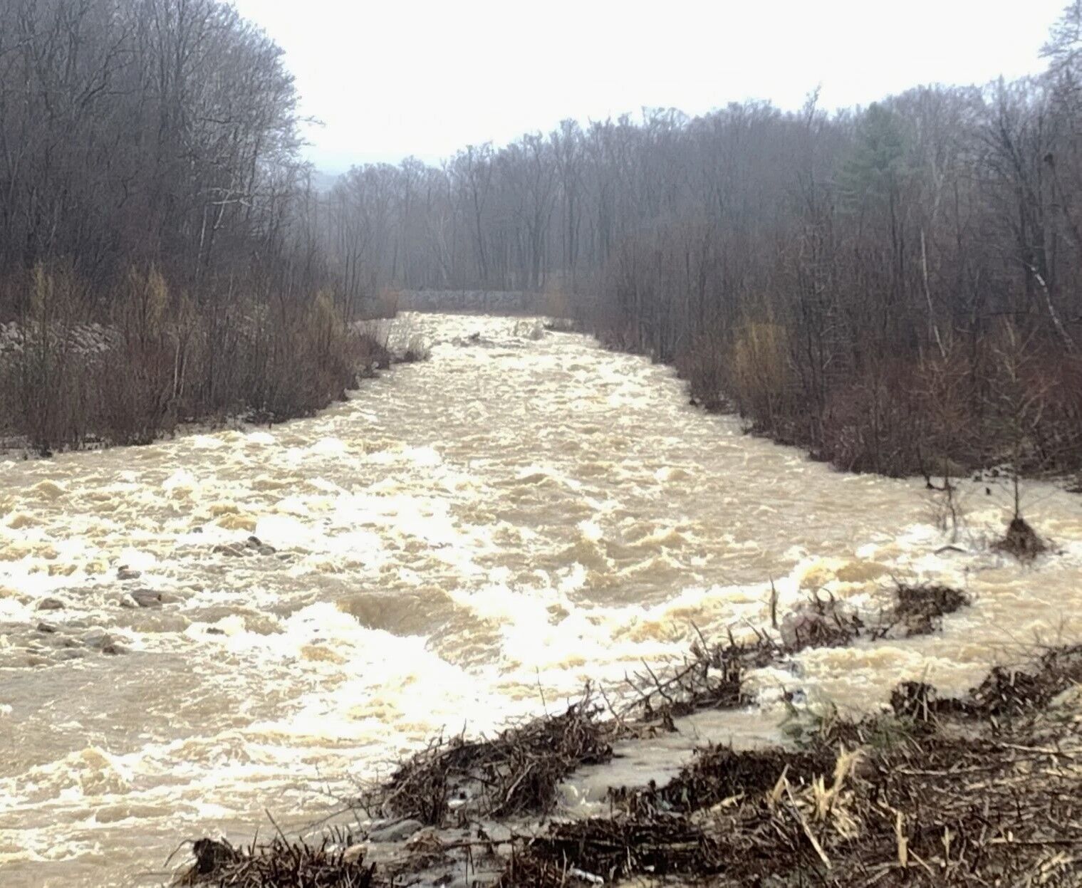 Roiling Roaring Branch | Local News | benningtonbanner.com